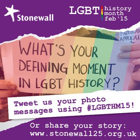 CELEBRATE LGBT HISTORY MONTH WITH STONEWALL | Pigeon Hole | Teach Secondary
