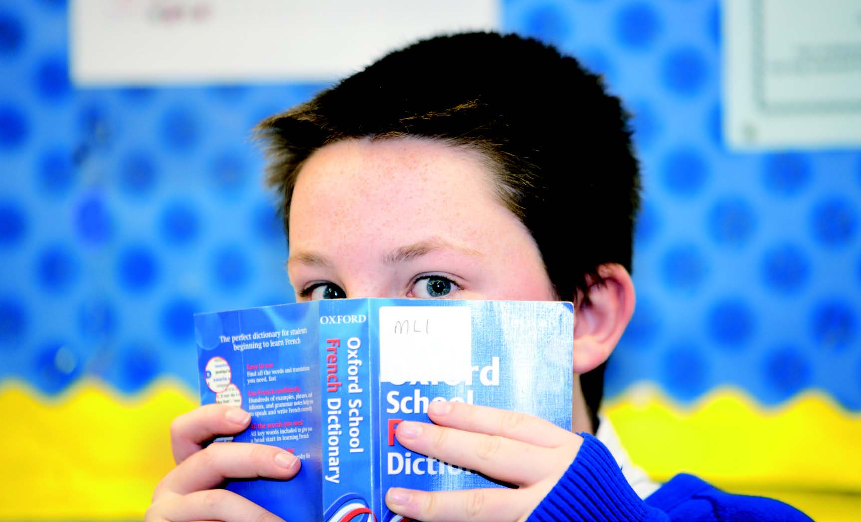 Lesson Plan: KS4 MFL, using the language of food | English and MFL ...